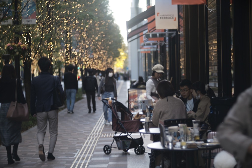 Meyer Goerlitz Trioplan 10cm f2.8(Pre-War) | 前のめりに生きる！